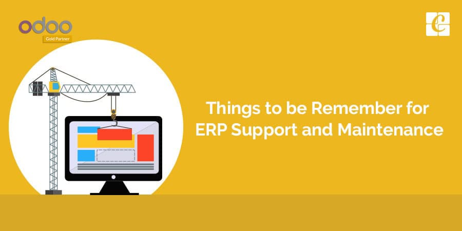 Things to be Remember For ERP Support and Maintenance