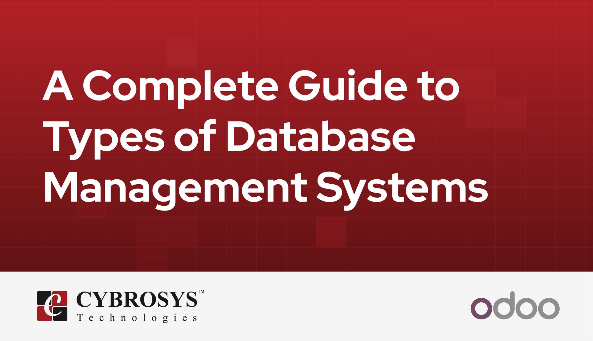 A Complete Guide to Types of Database Management Systems