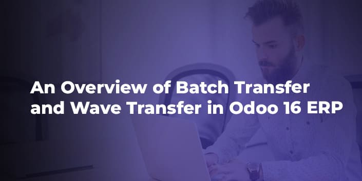 An Overview of Batch Transfer and Wave Transfer in Odoo 16 ERP
