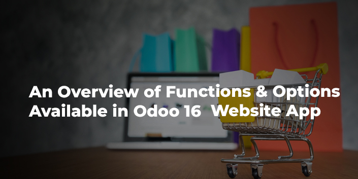 An Overview of Functions & Options Available in Odoo 16 Website App