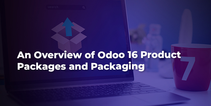 An Overview of Odoo 16 Product Packages and Packaging