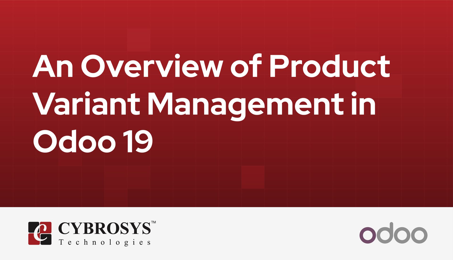 An Overview of Product Variant Management in Odoo 19