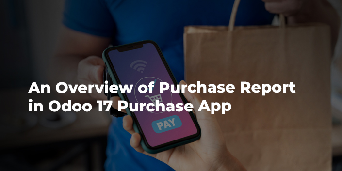 An Overview of Purchase Report in Odoo 17 Purchase App
