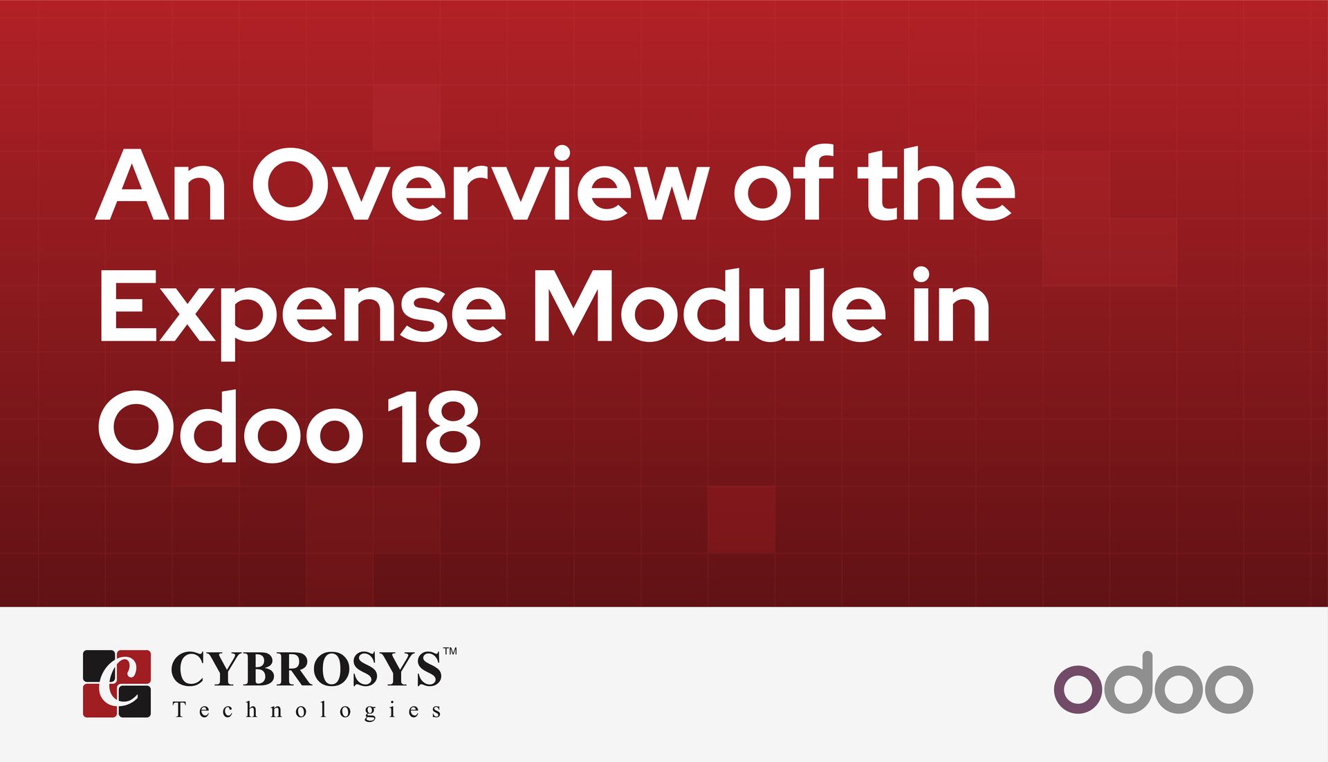 An Overview of the Expense Module in Odoo 18