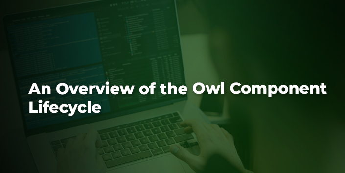 An Overview of the Owl Component Lifecycle An Overview of the Owl Component Lifecycle