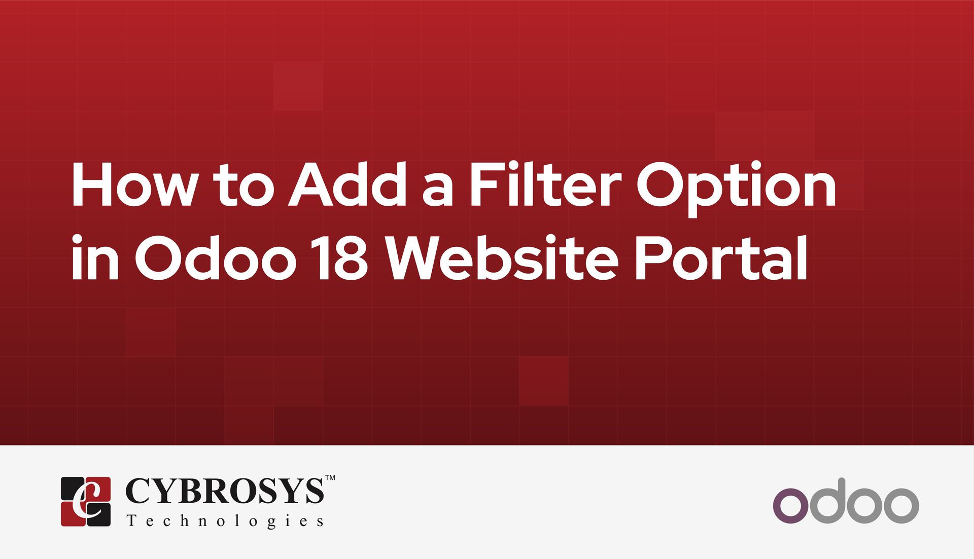 How to Add a Filter Option in Odoo 18 Website Portal