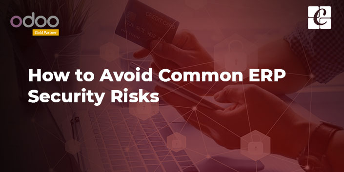 How to Avoid Common ERP Security Risks