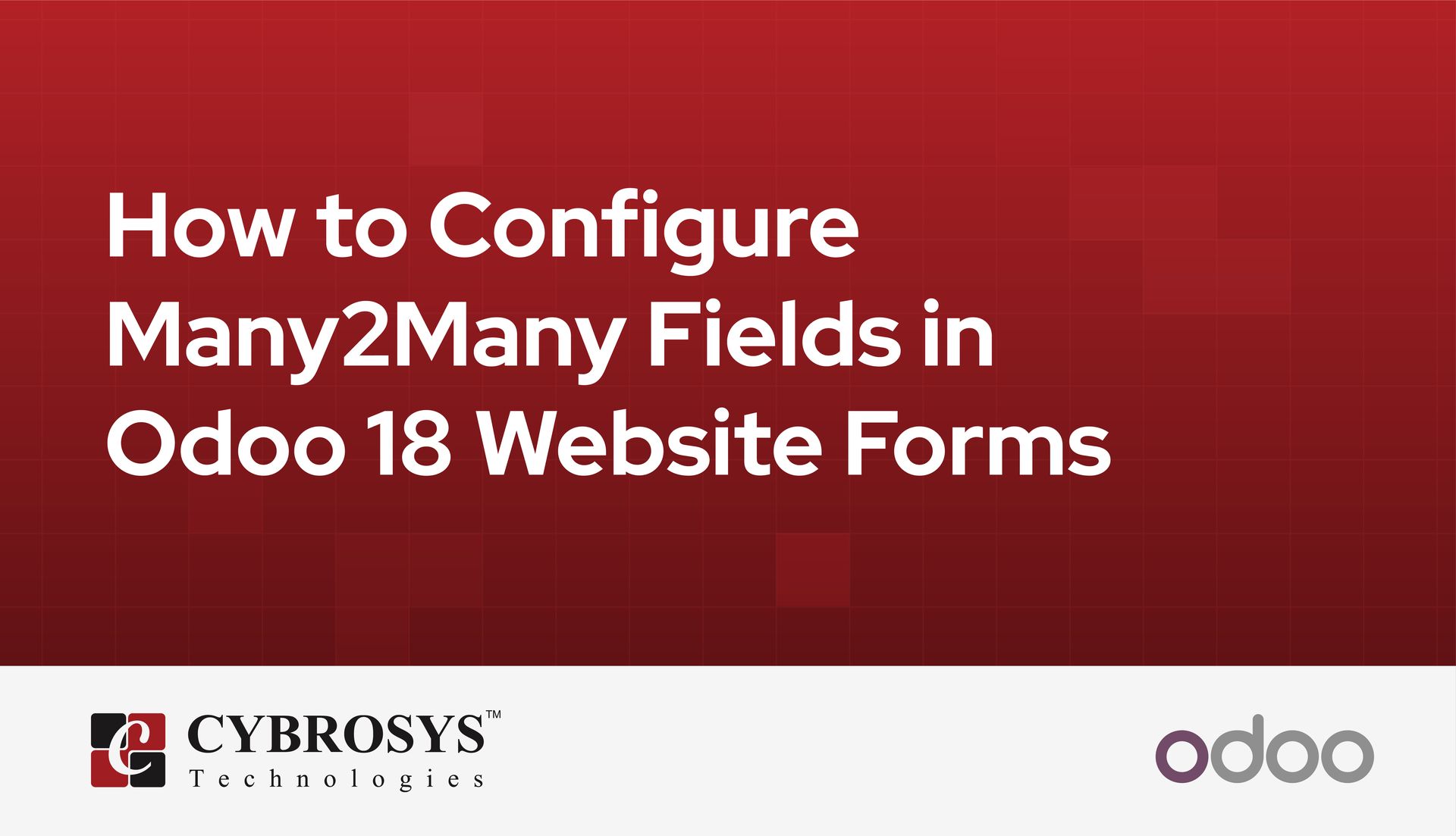 How to Configure Many2Many Fields in Odoo 18 Website Forms