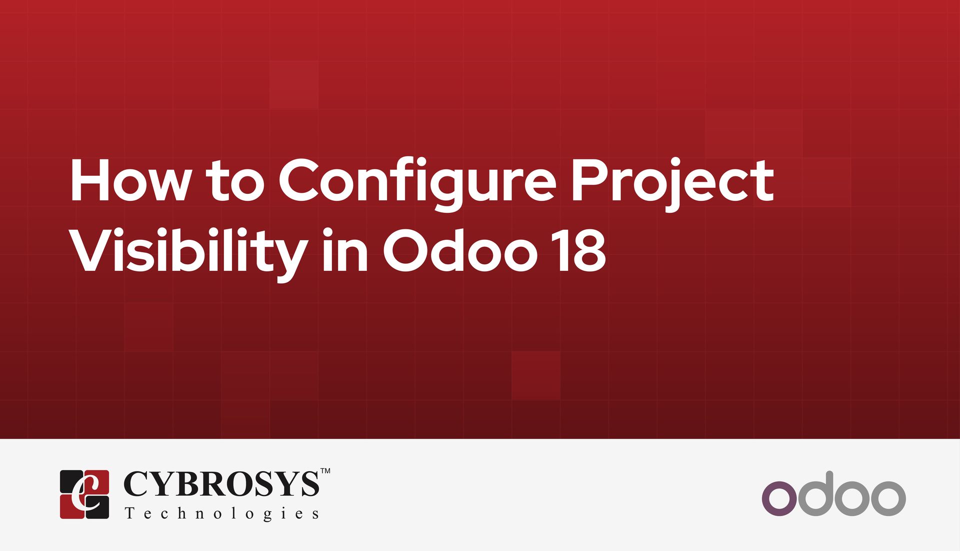 How to Configure Project Visibility in Odoo 18