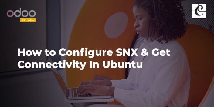 Configure SNX (SSL Network Extender) and Get Connectivity In Ubuntu
