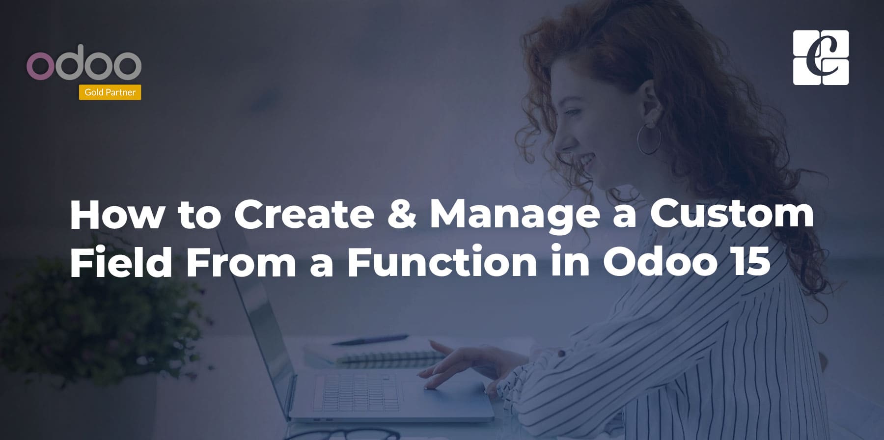 How To Create And Manage A Custom Field From A Function In Odoo 15