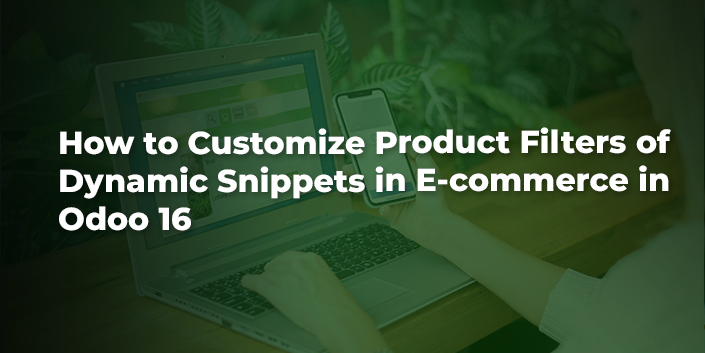 How to Customize Product Filters of Dynamic Snippets in E-commerce in ...