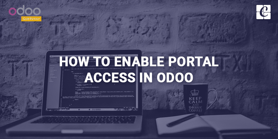 How to enable portal access in odoo?