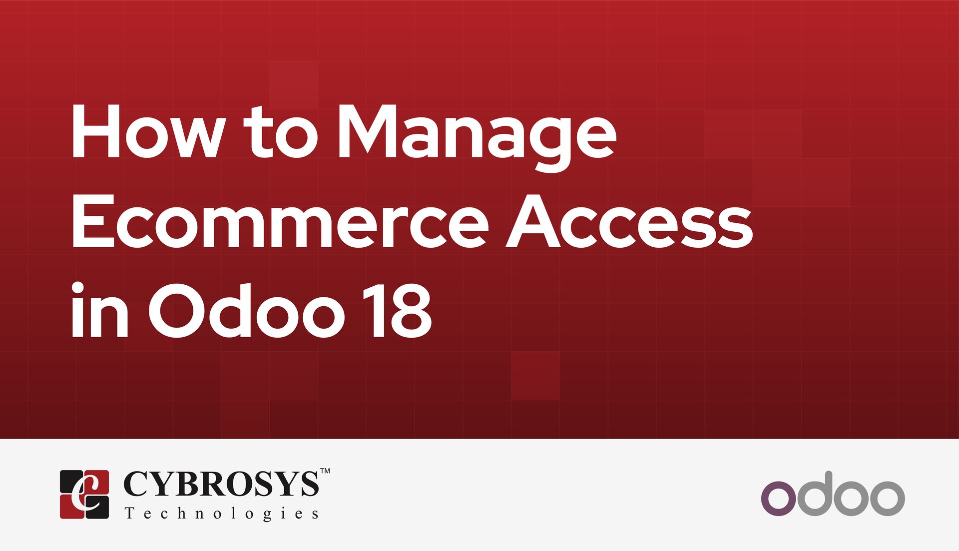 How to Manage Ecommerce Access in Odoo 18