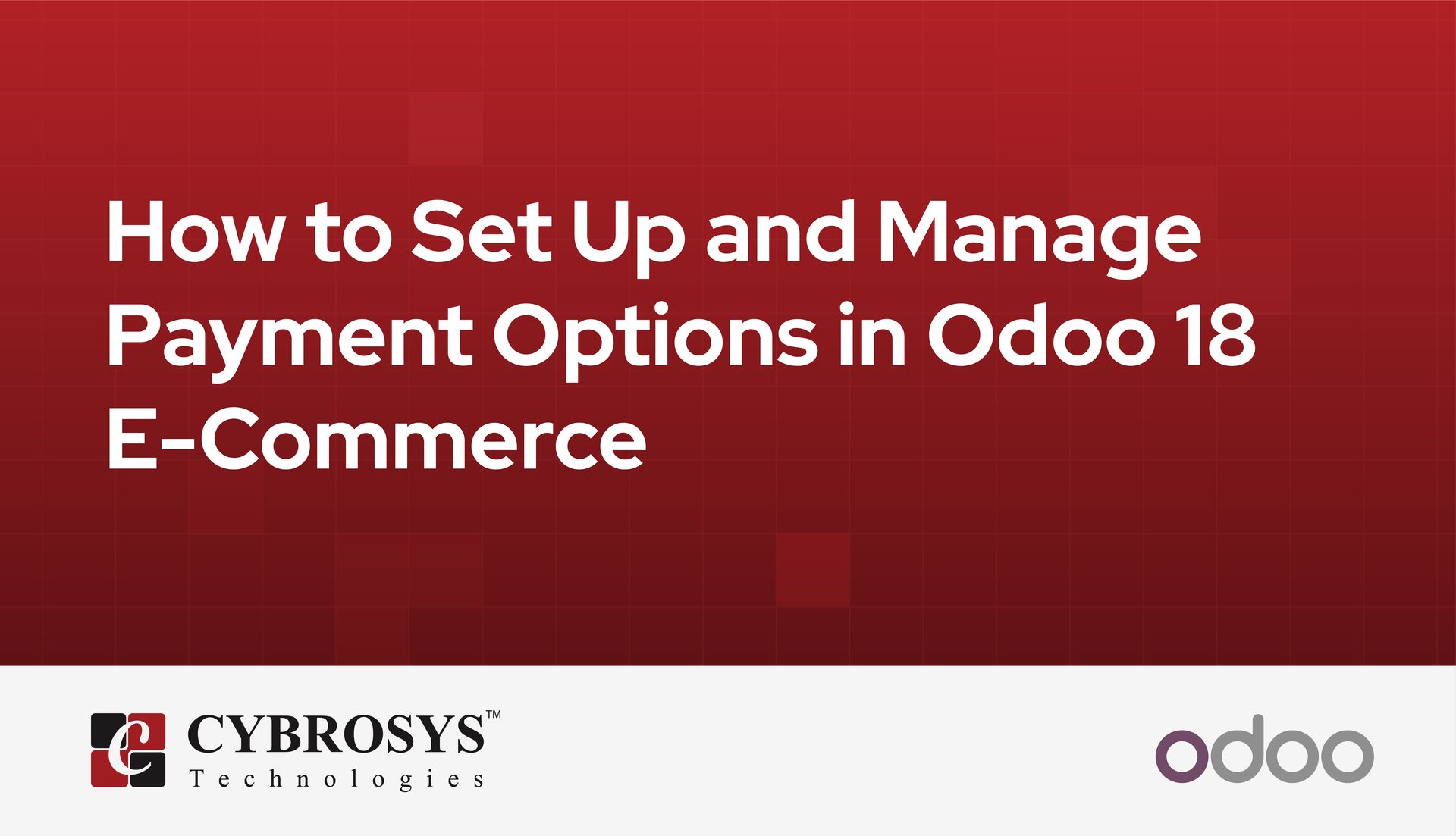 How to Set Up and Manage Payment Options in Odoo 18 E-Commerce