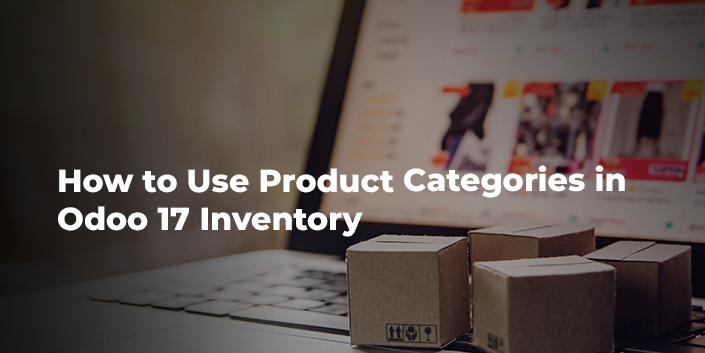 How to Use Product Categories in Odoo 17 Inventory