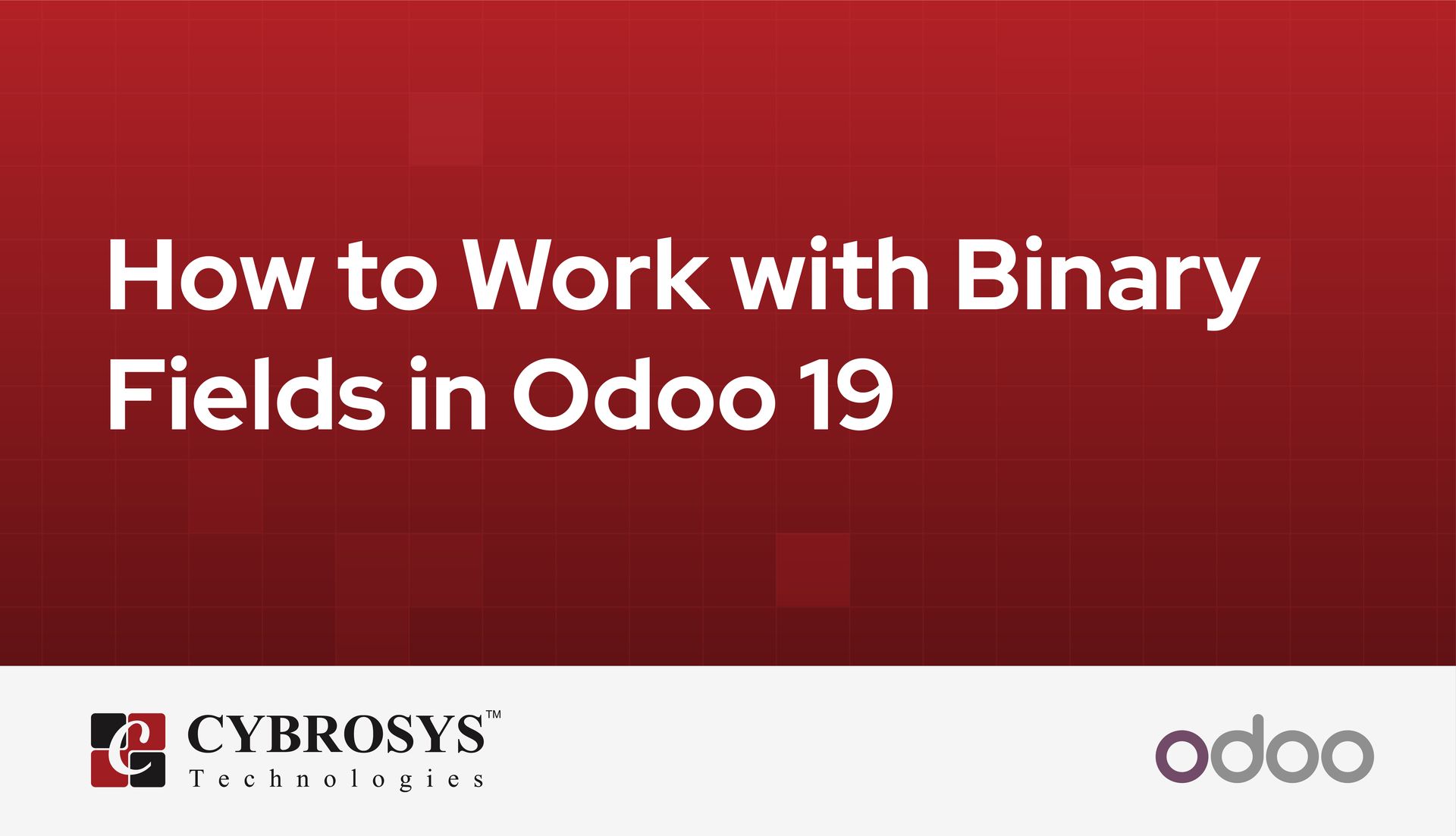 How to Work with Binary Fields in Odoo 19