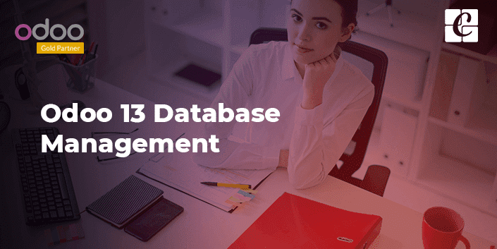 Odoo 13 Database Management