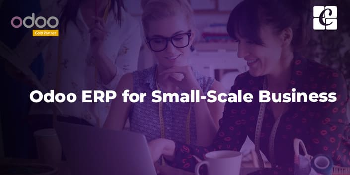 Odoo ERP Used for Small Scale Businesses