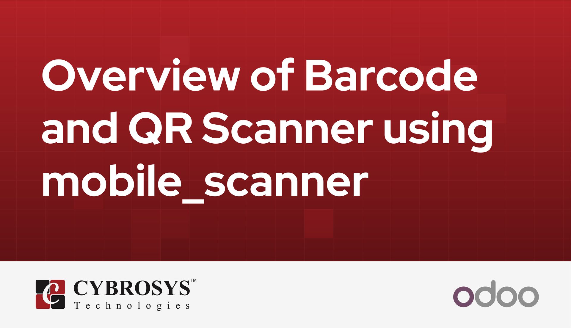 Overview of Barcode and QR Scanner using mobile_scanner