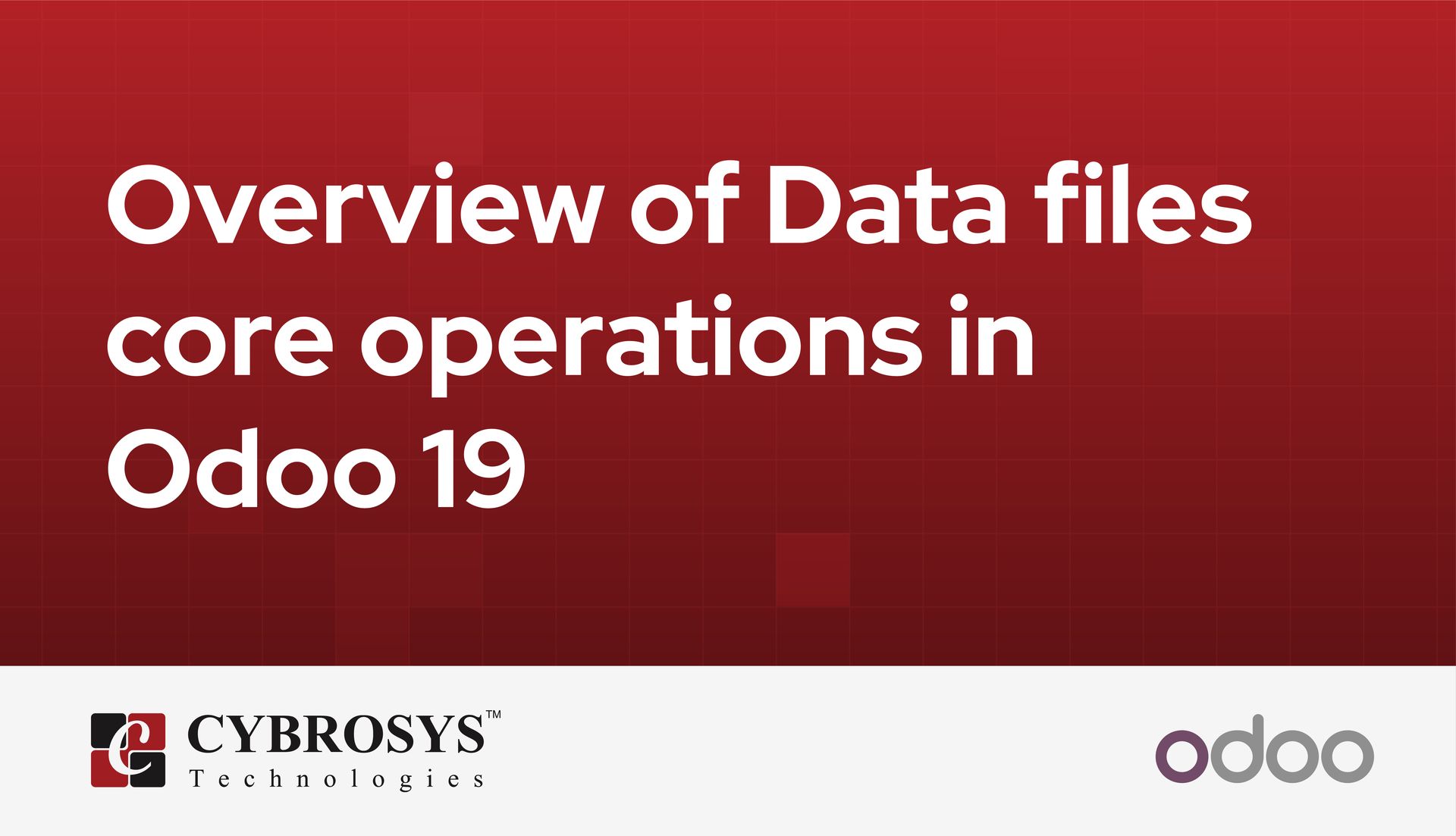 Overview of Data files core operations in Odoo 19