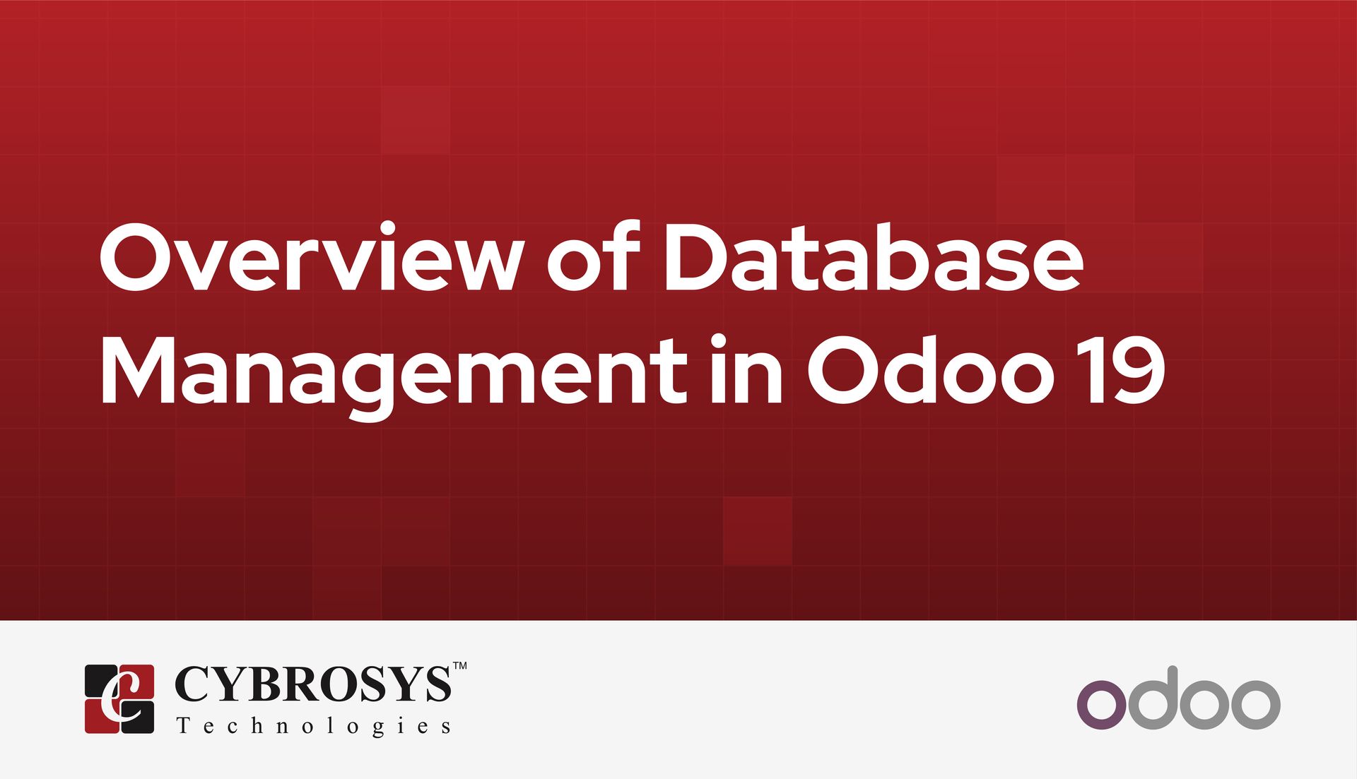 Overview of Database Management in Odoo 19