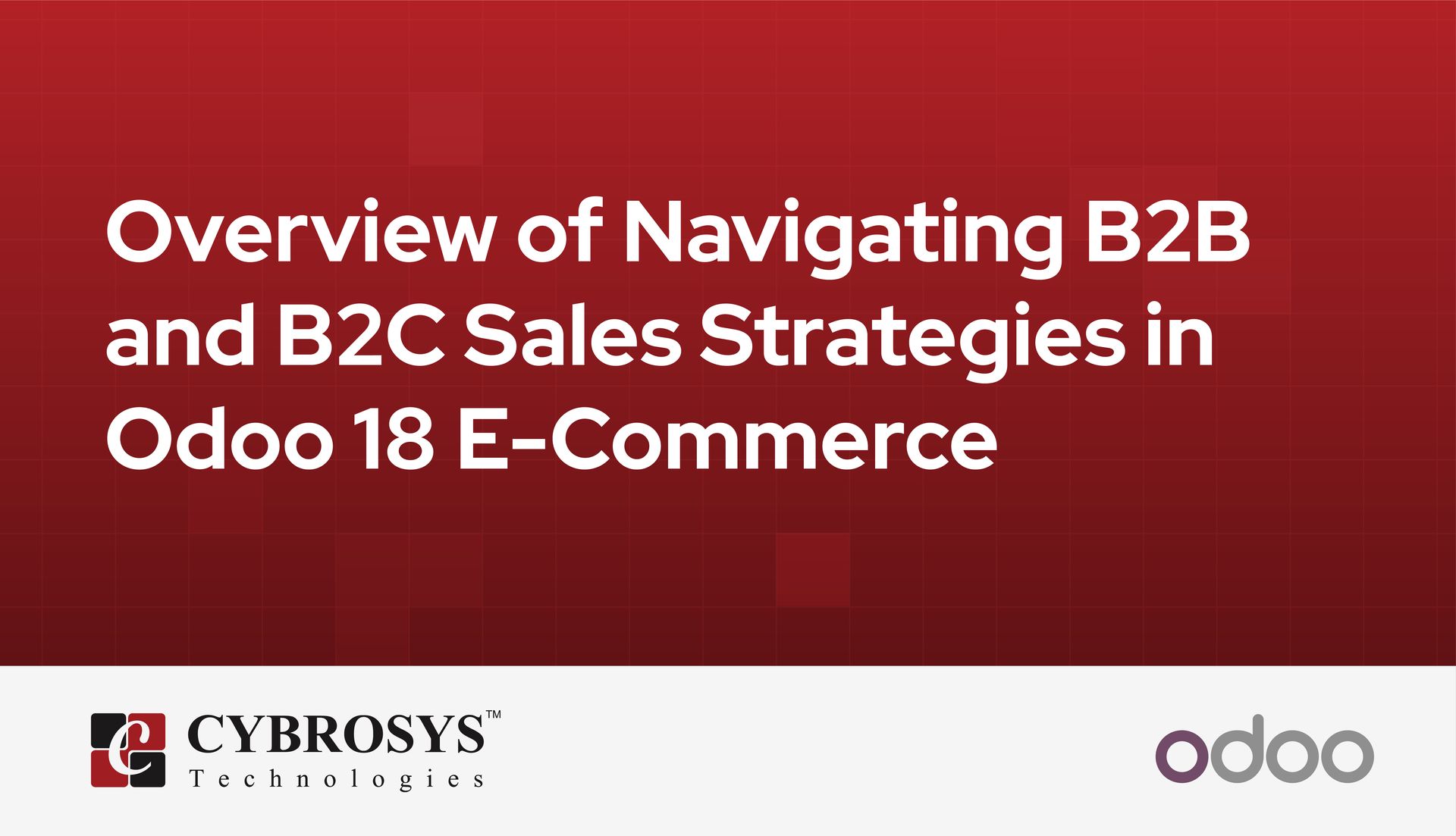 Overview of Navigating B2B and B2C Sales Strategies in Odoo 18 E-Commerce