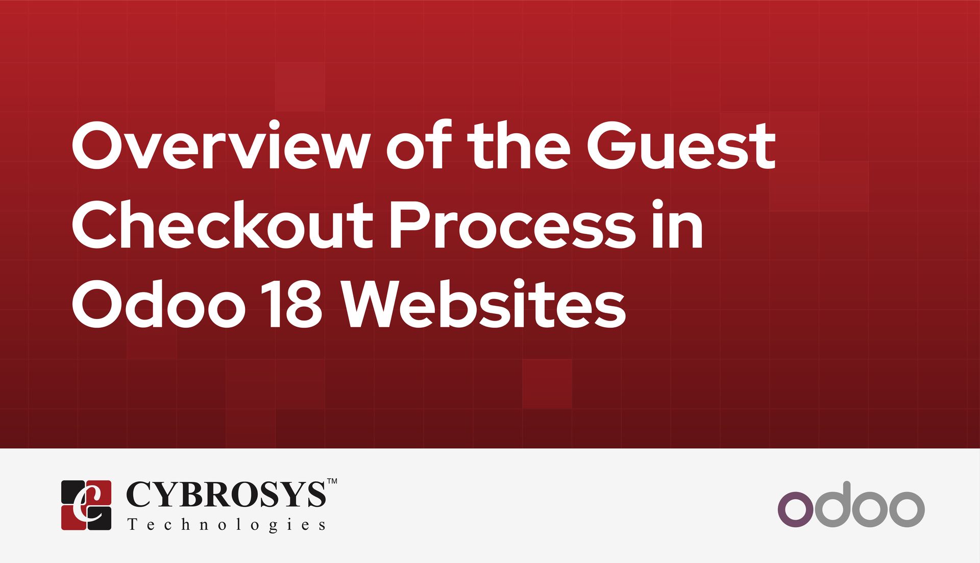 Overview of the Guest Checkout Process in Odoo 18 Websites