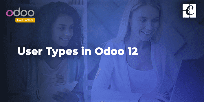 User Types in Odoo 12