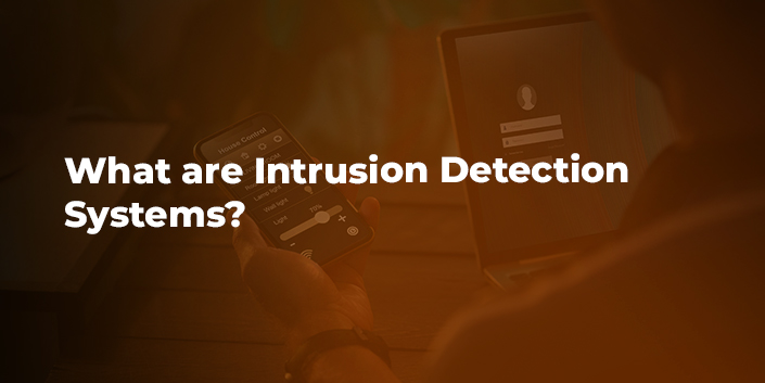 What are Intrusion Detection Systems?