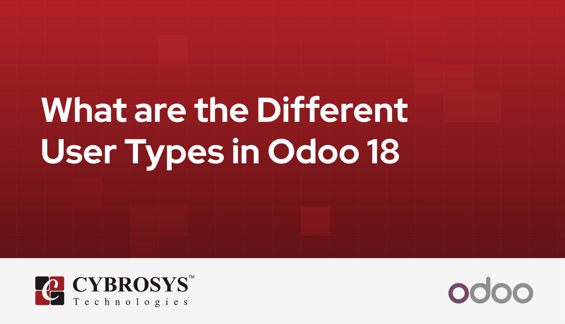 What are the Different User Types in Odoo 18
