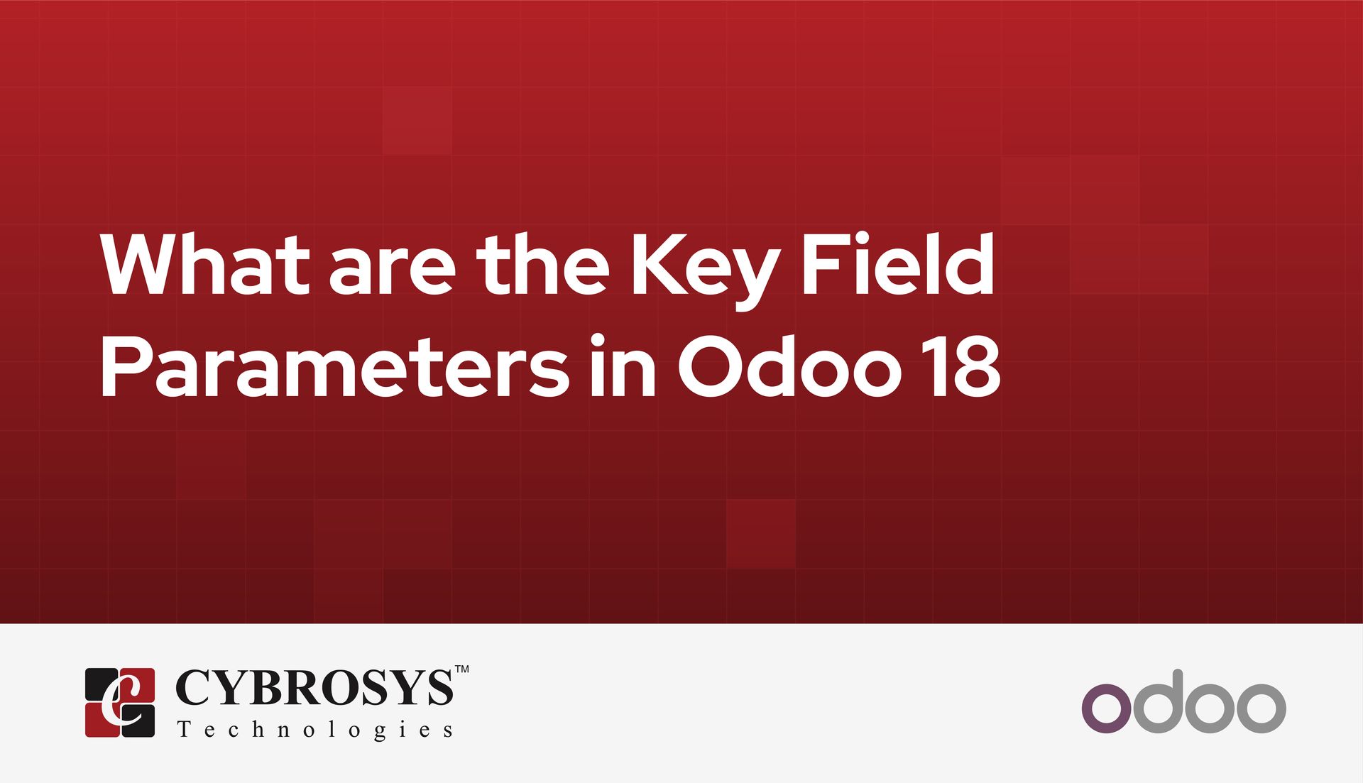 What are the Key Field Parameters in Odoo 18
