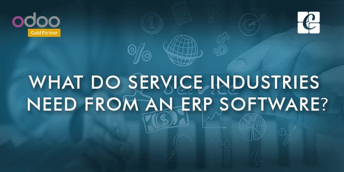 What do Service industries need from an ERP software?