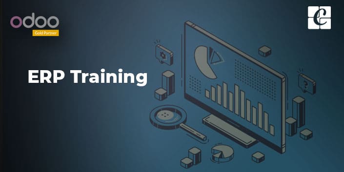 What is ERP Training