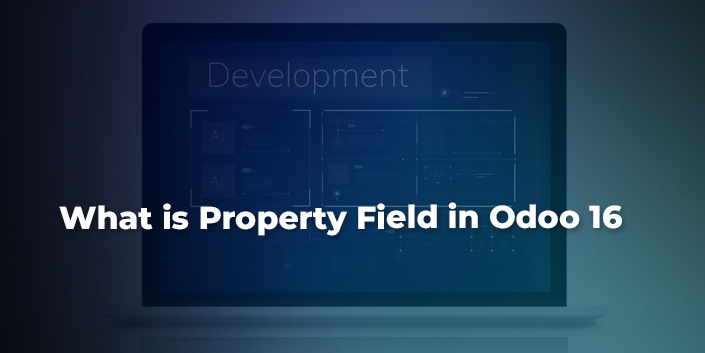 What is Property Field in Odoo 16