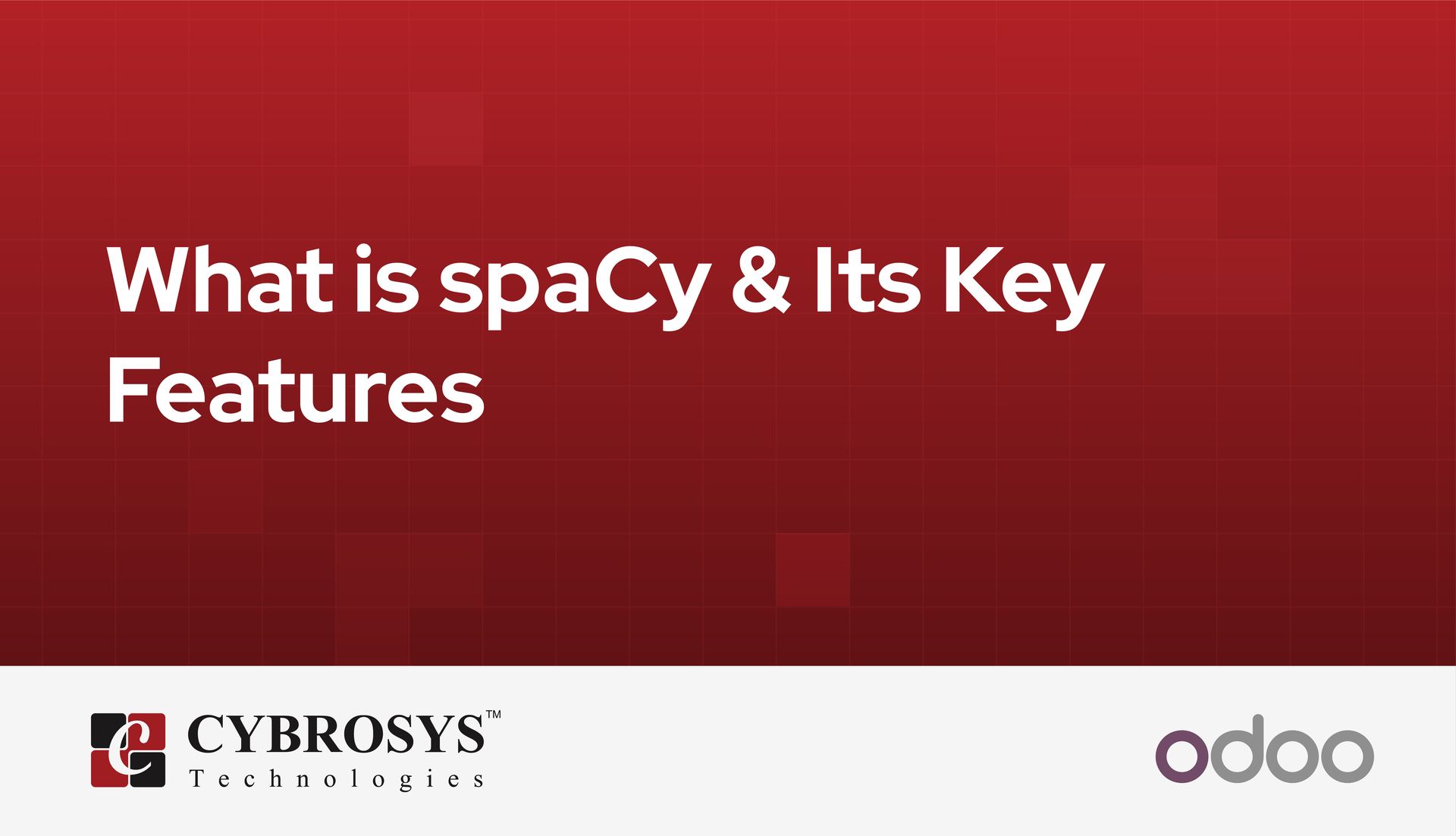 What is spaCy & Its Key Features