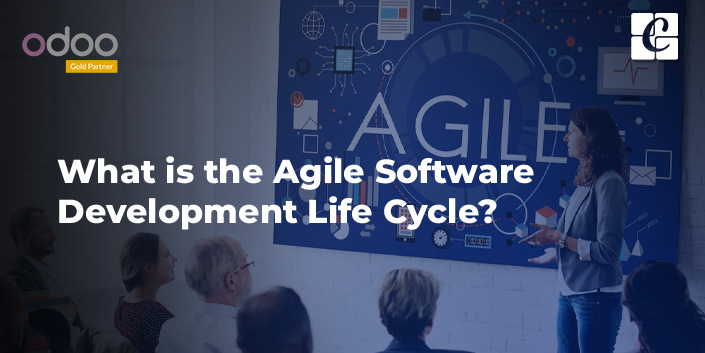 What is the Agile Software Development Life Cycle? | What Is SDLC?