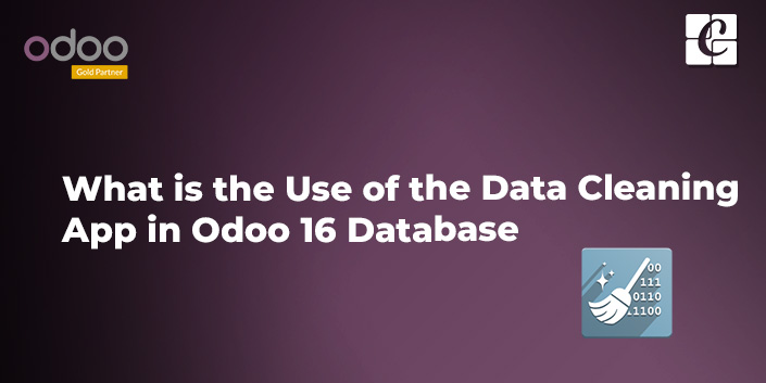 What is the Use of the Data Cleaning App in the Odoo 16 Database?