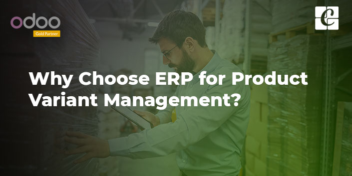 Why Choose ERP for Product Variant Management?